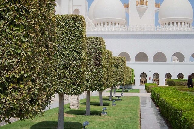 What Makes A Typical Persian, Arabic Garden - WhatShed